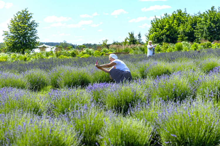 Russia Ukraine War Flowers | News, Sports, Jobs - Altoona Mirror